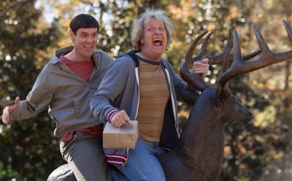 Dumb and Dumbest? - Mature Times