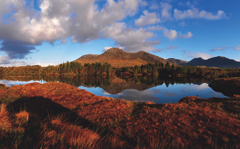 The wild rover - Mature Times