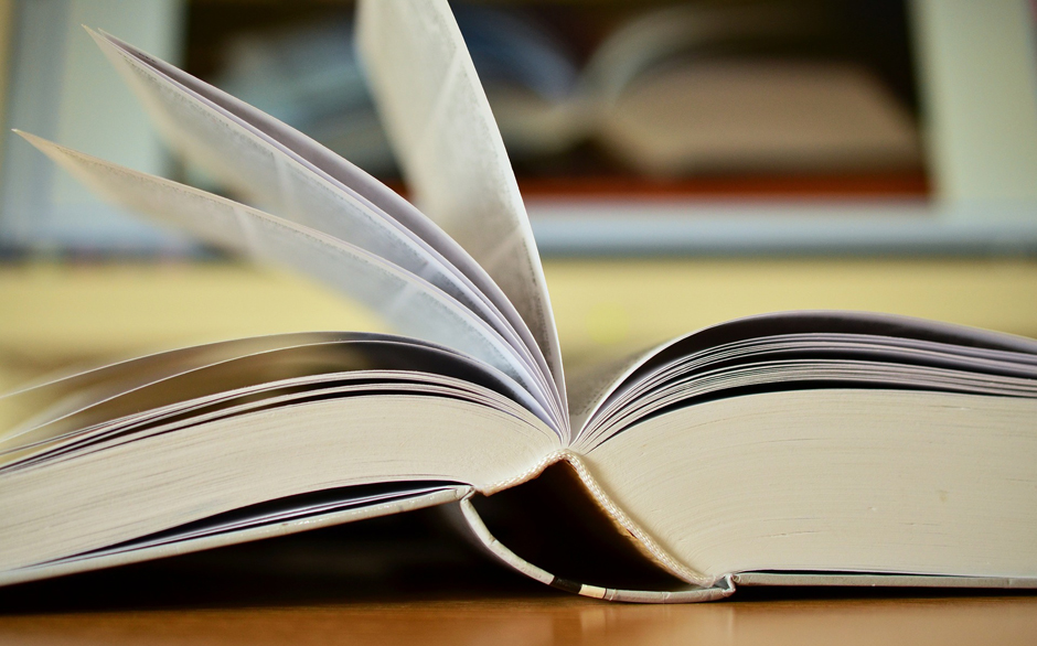 Art books on Gustav Klimt, William Blake, Botero, Rennie Mackintosh ...