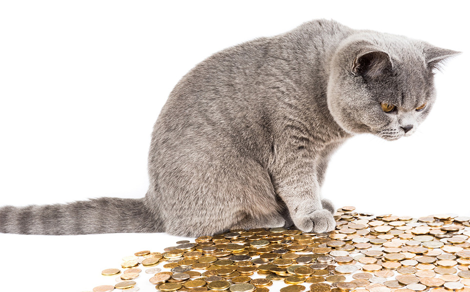 Fat Cats With Money