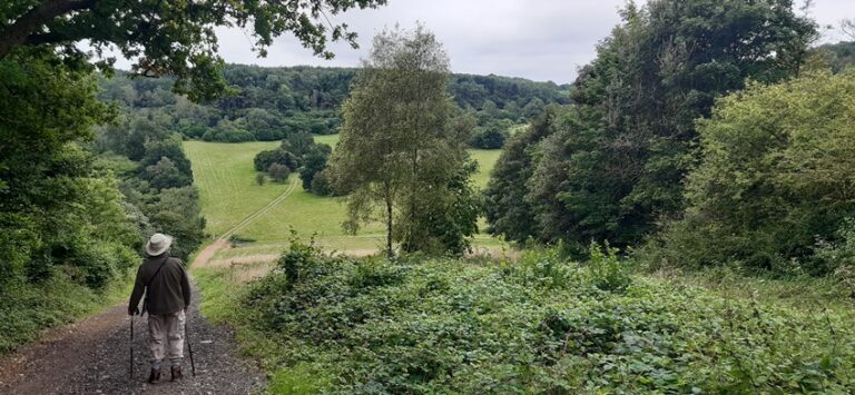 WALKING THE TEST WAY - Mature Times